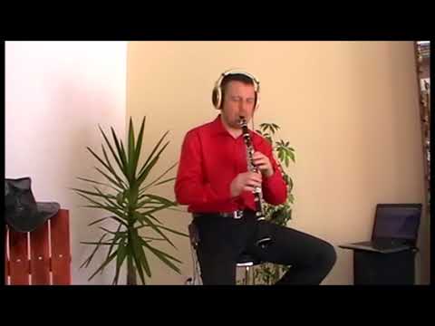 Ed Sheeran - Shape Of You [Clarinet Cover]