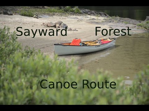 Sayward Forest Canoe Route - YouTube