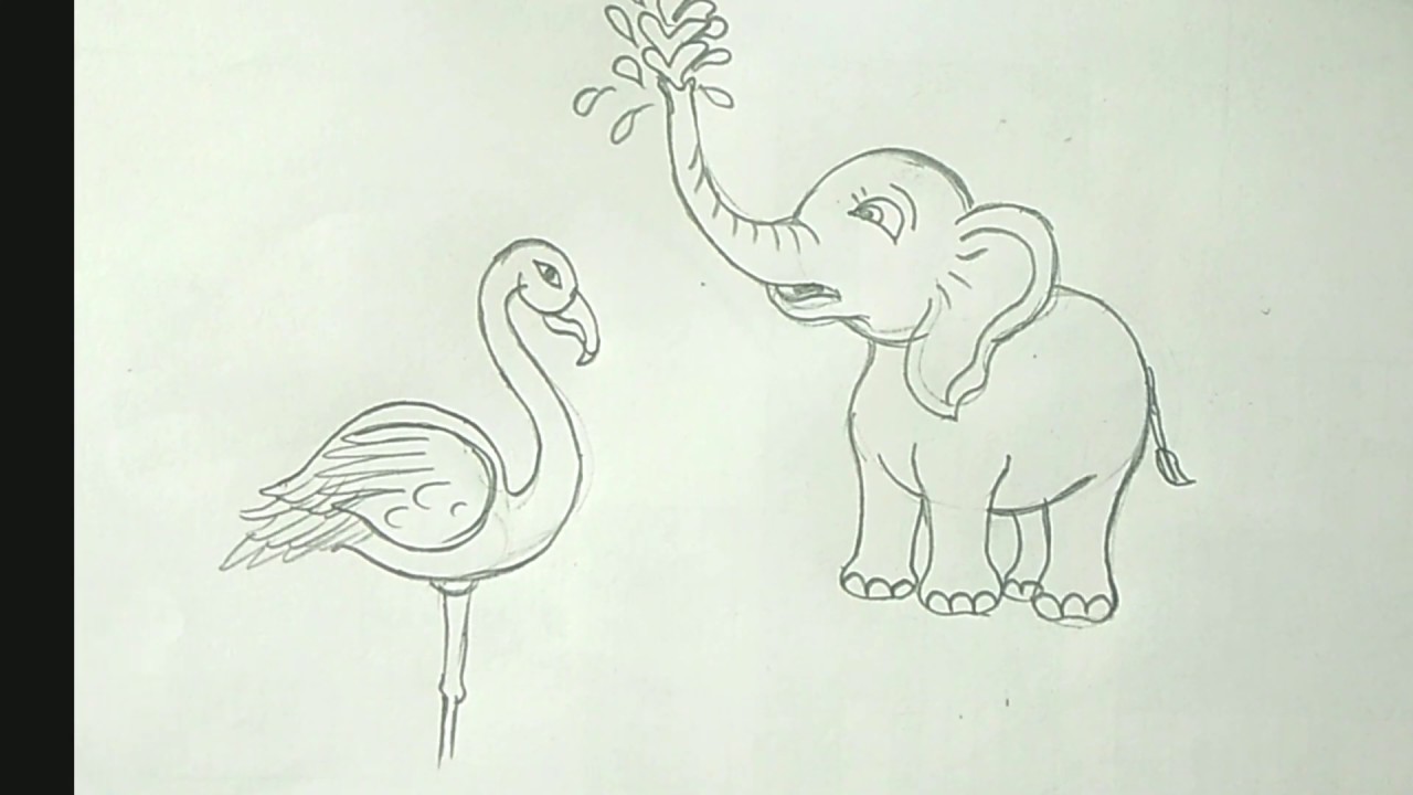 How to draw seanary drawing step by step drawing for kids and beginner ...