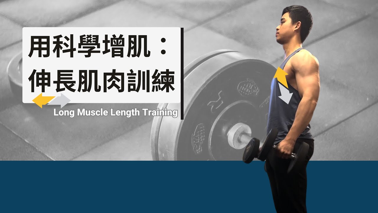 12篇研究帶你看肌肥大科學新寵兒：伸長肌肉訓練 long muscle length training（C.C.字幕） - YouTube