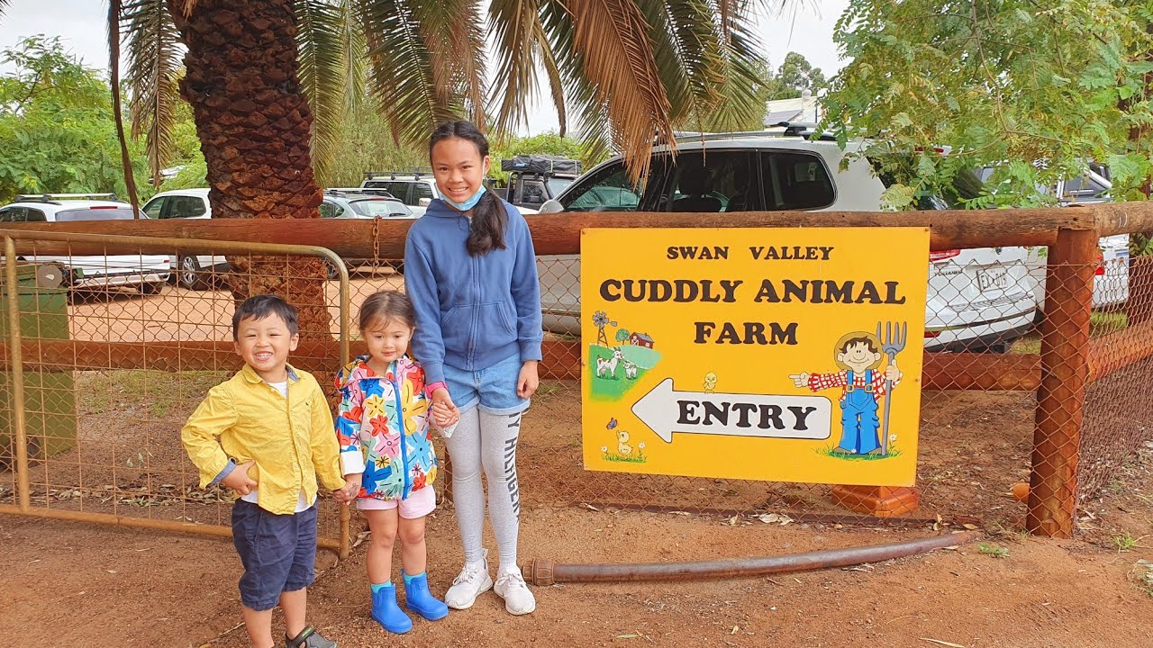 Animals for Kids at Cuddly Animal Farm - YouTube