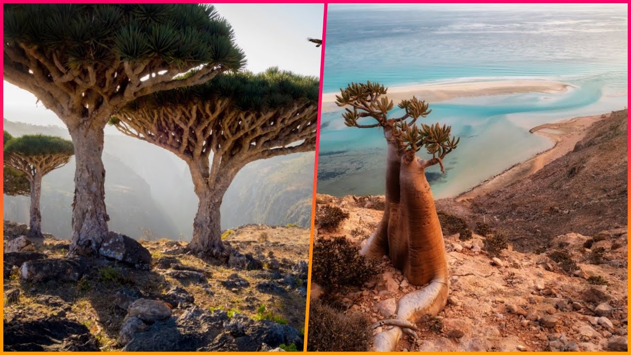 Inside the remote 'alien island' isolated for millennia with the world ...