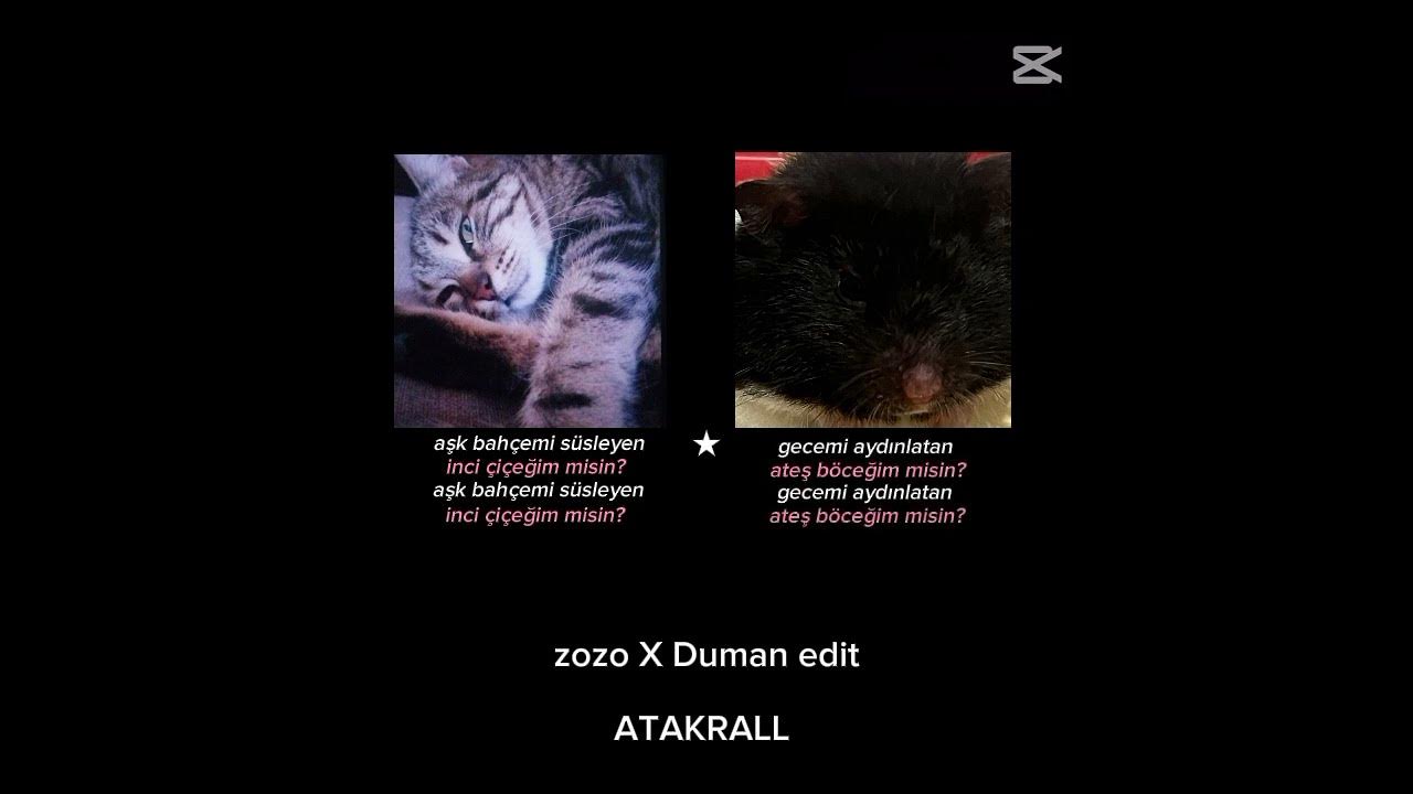 Zozo X Duman &edit #keşfet #football #zozo#duman#cute - YouTube