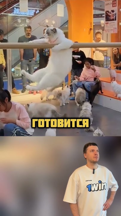 Скала Вещает 8 Не надо их так пугать 😳 Youtube