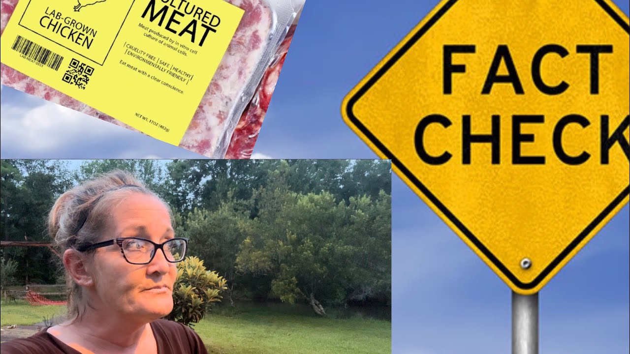 Lab grown meat is GROWN FROM IMMORTAL CELL LINES - YouTube