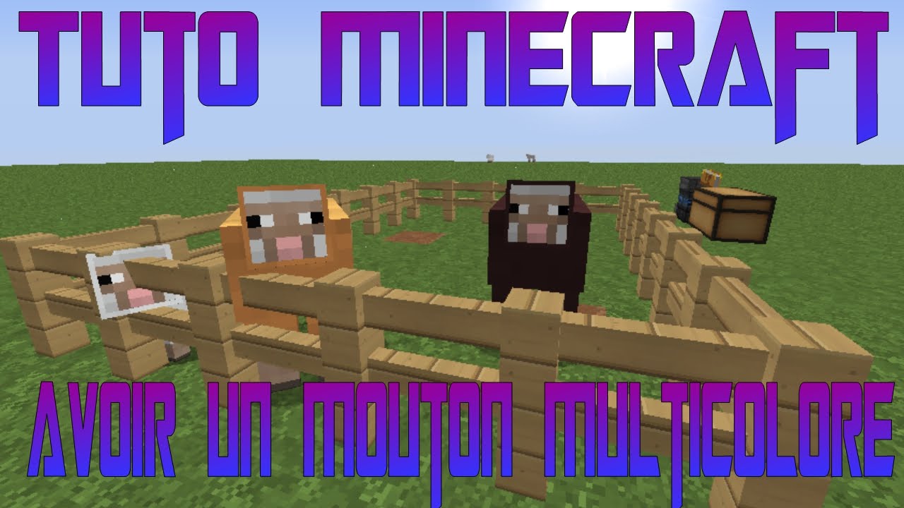 tuto minecraft avoir un mouton multicolore - YouTube