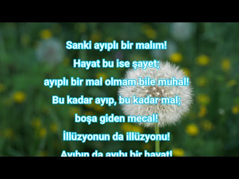 ŞİİR: SANKİ AYIPLI BİR MALIM!