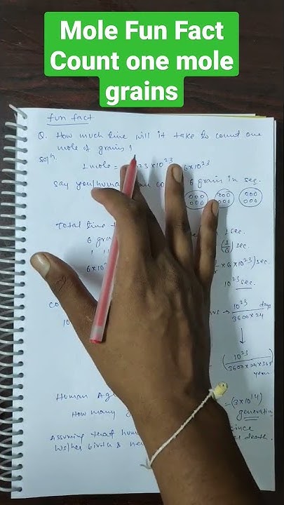 How much time will it take you to #count one #mole grains. #shorts # ...