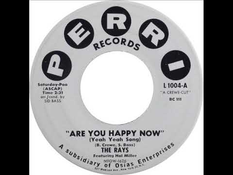 The Rays Featuring Hal Miller – Are You Happy Now (Yeah Yeah Song ...