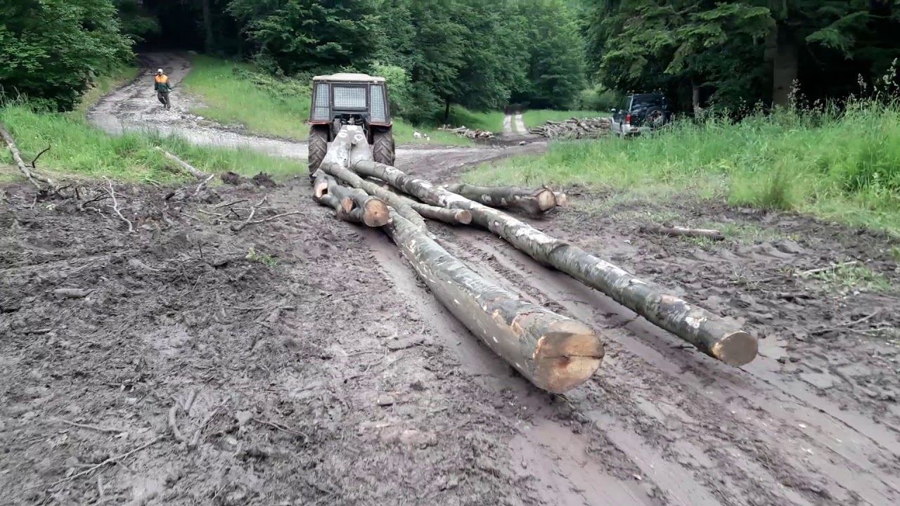 Tazba dreva - prevoz na sklad - YouTube