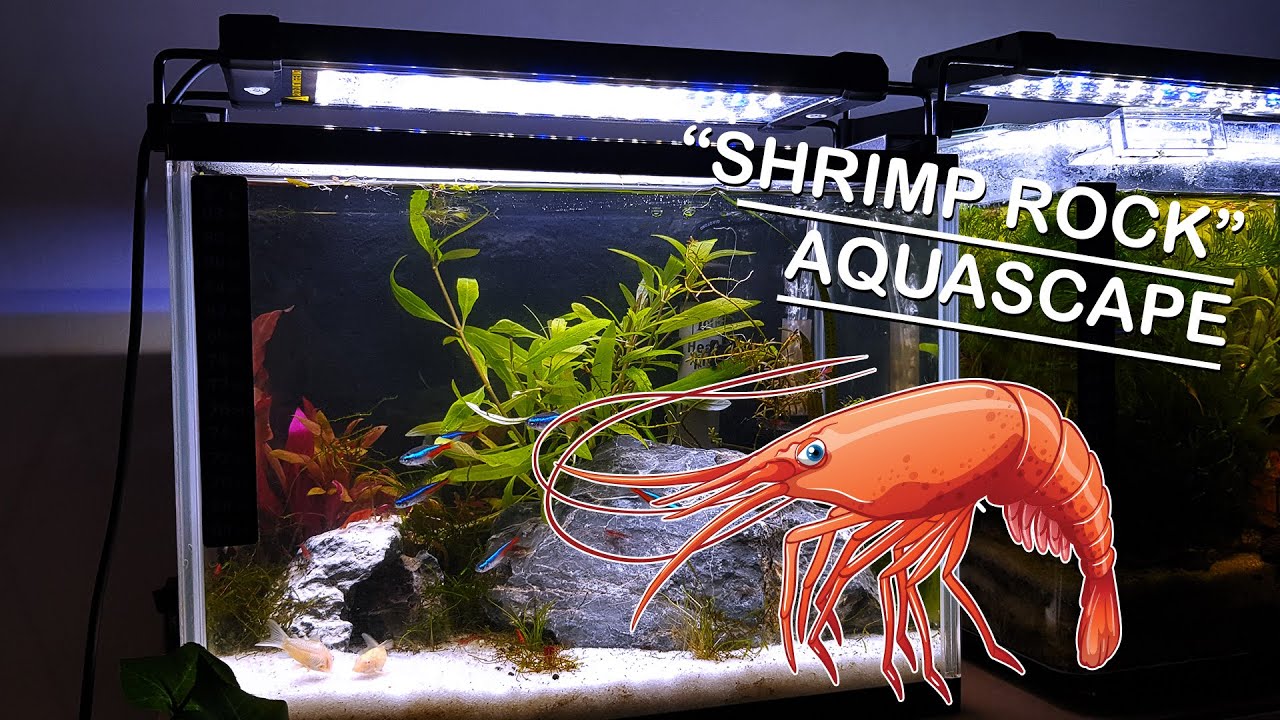 HOW TO: "Shrimp Rock" | Nano Shrimp Tank Aquascape | No CO2 - MR ...
