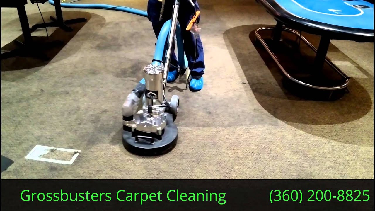 Mytee T-Rex on Commercial Carpet (2/2) - YouTube