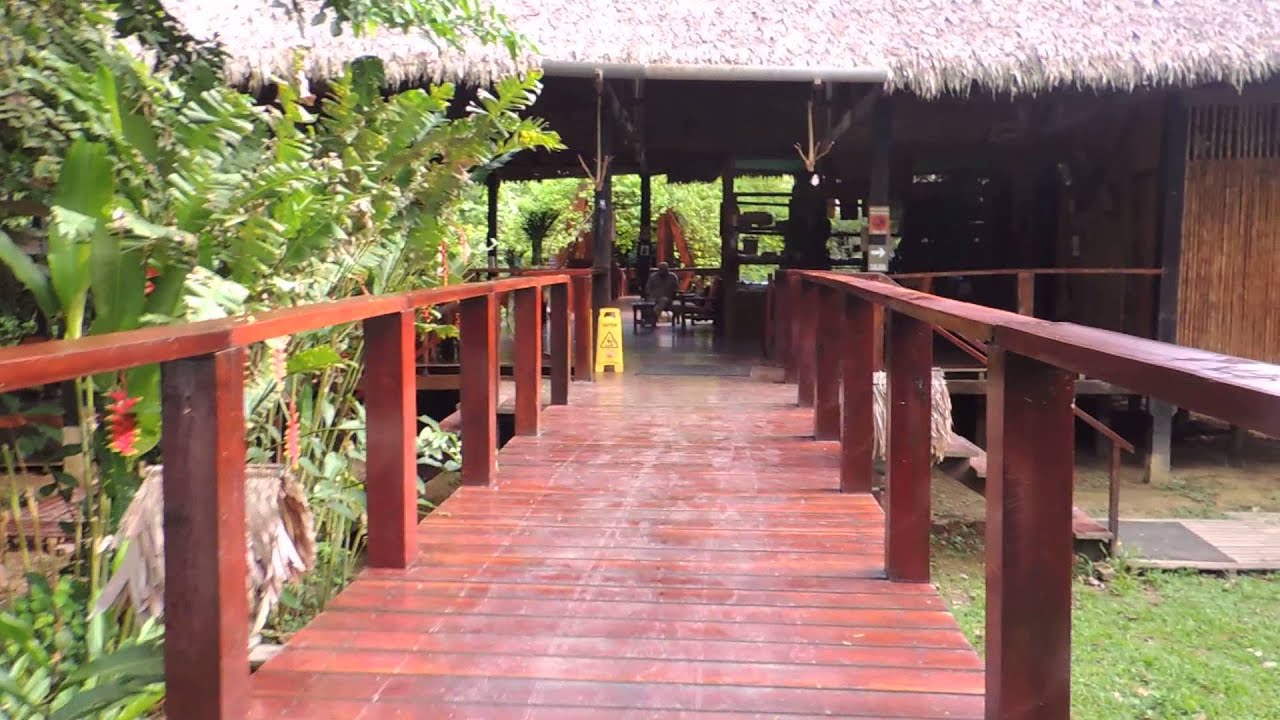 Rainforest expeditions, Posada Amazonas - YouTube