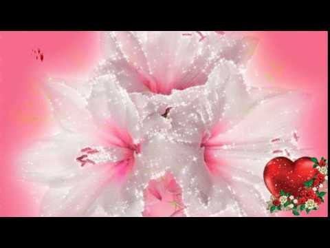 Фон цветы анимация 6 .Background animation of flowers .