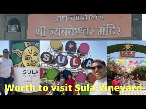 Sula Vineyard worth to visit || Sula Vineyard || Pune to Nasik ...