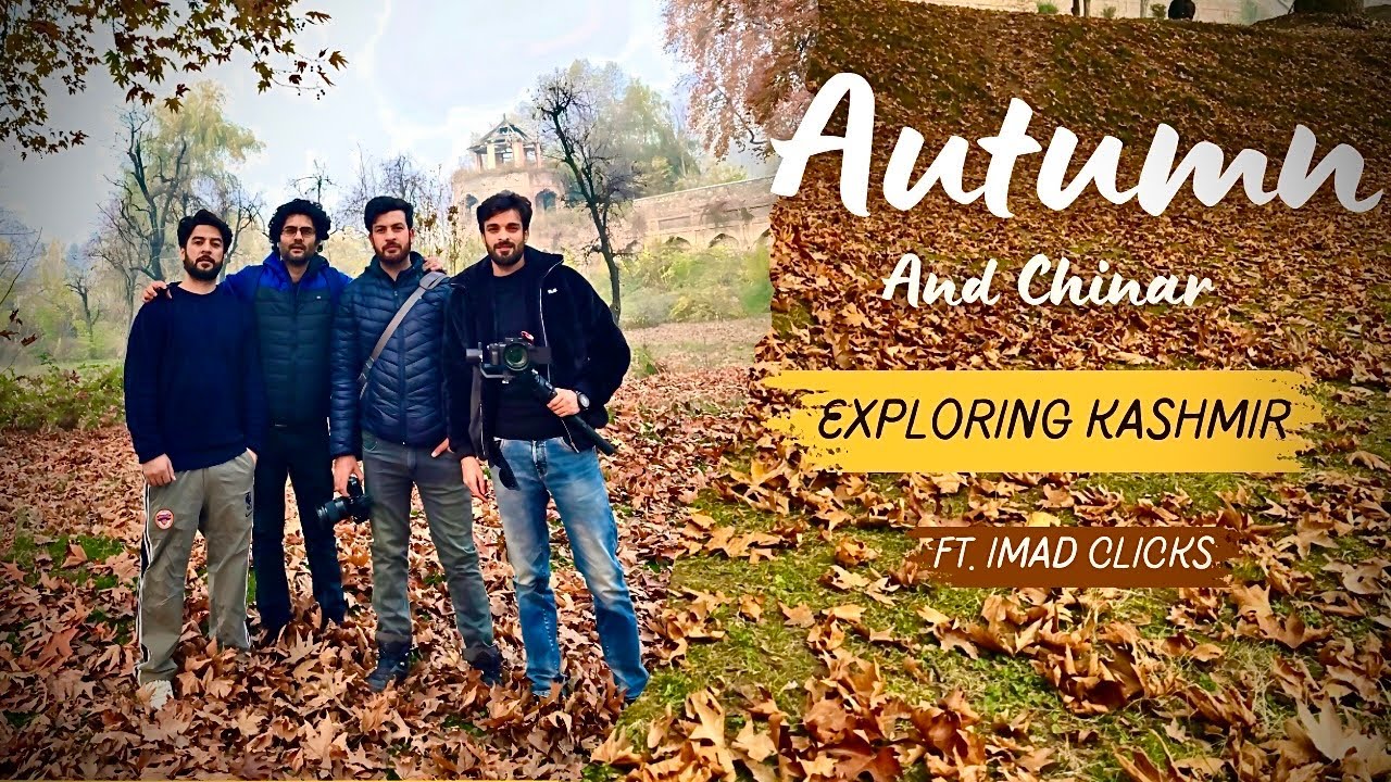 Autumn in Kashmir, oldest chinar tree of Kashmir Ft. @imadclicks - YouTube