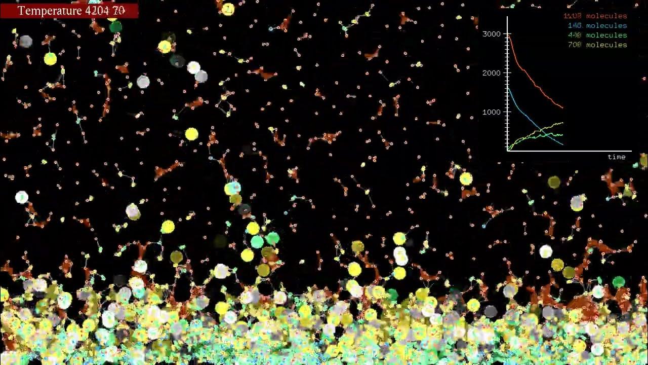 Bloopers 8: When reversibility breaks down due to a coding mistake - YouTube