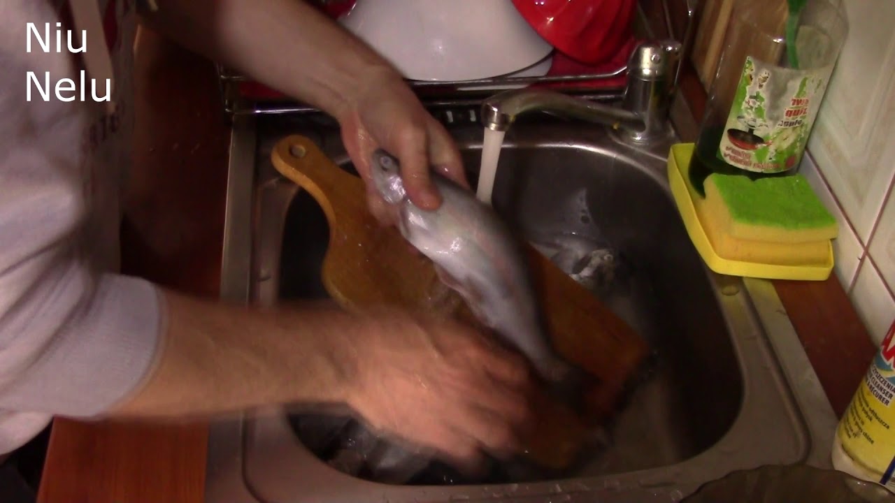 Curatarea pestilor de solzi - YouTube