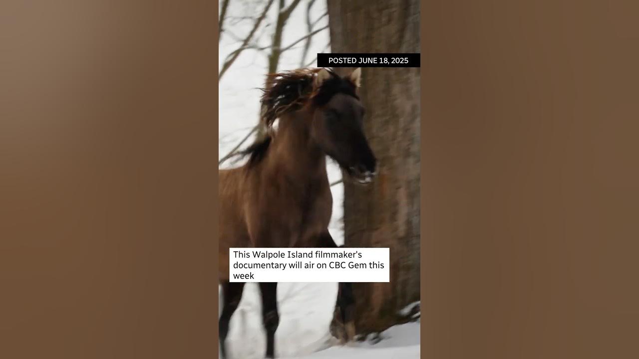 This Walpole Island filmmaker's documentary will air on CBC Gem this week - YouTube