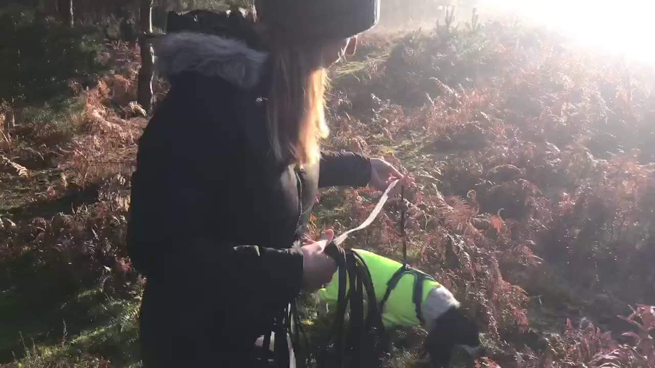 Long line walking skills - YouTube