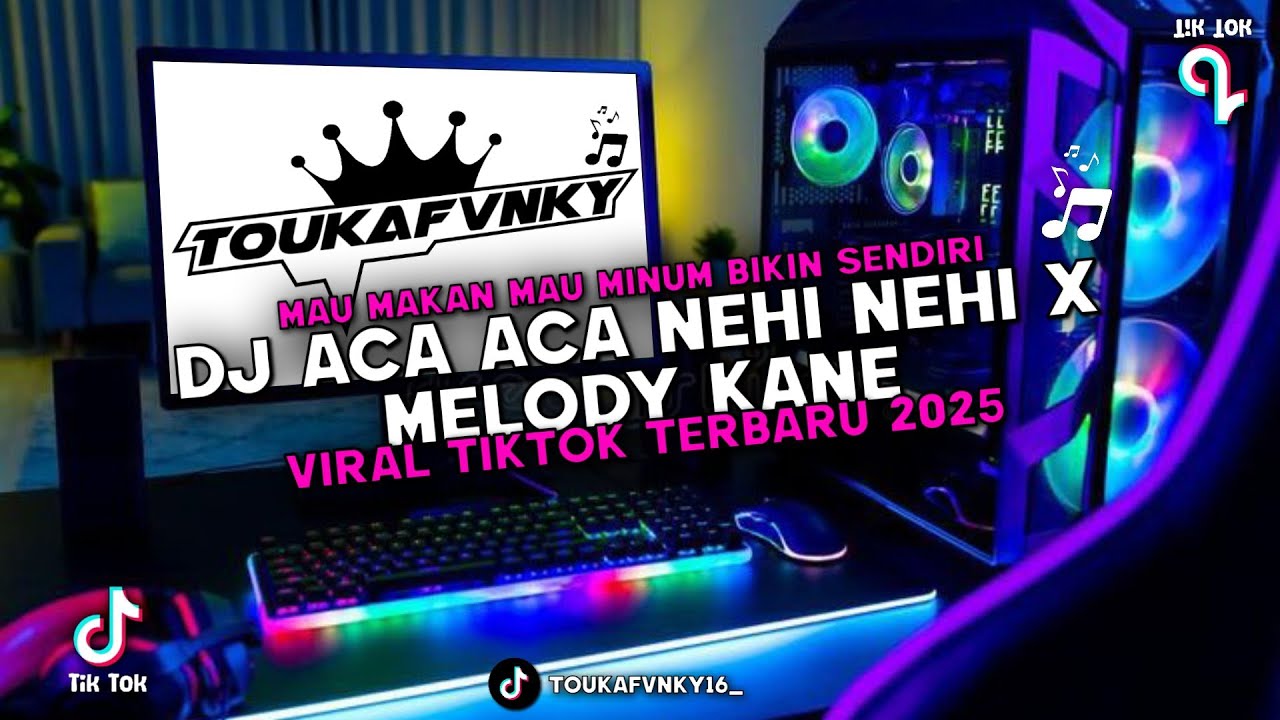 DJ ACA ACA NEHI NEHI X MELODY KANE VIRAL TIKTOK TERBARU 2025 - YouTube