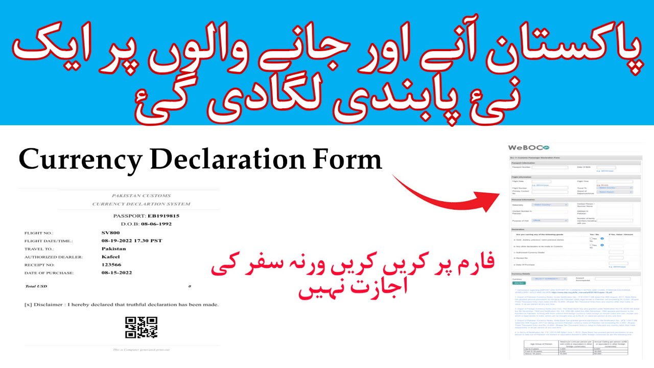 How to fill Pakistan Airport Declaration Form | Pakistan Airport ...