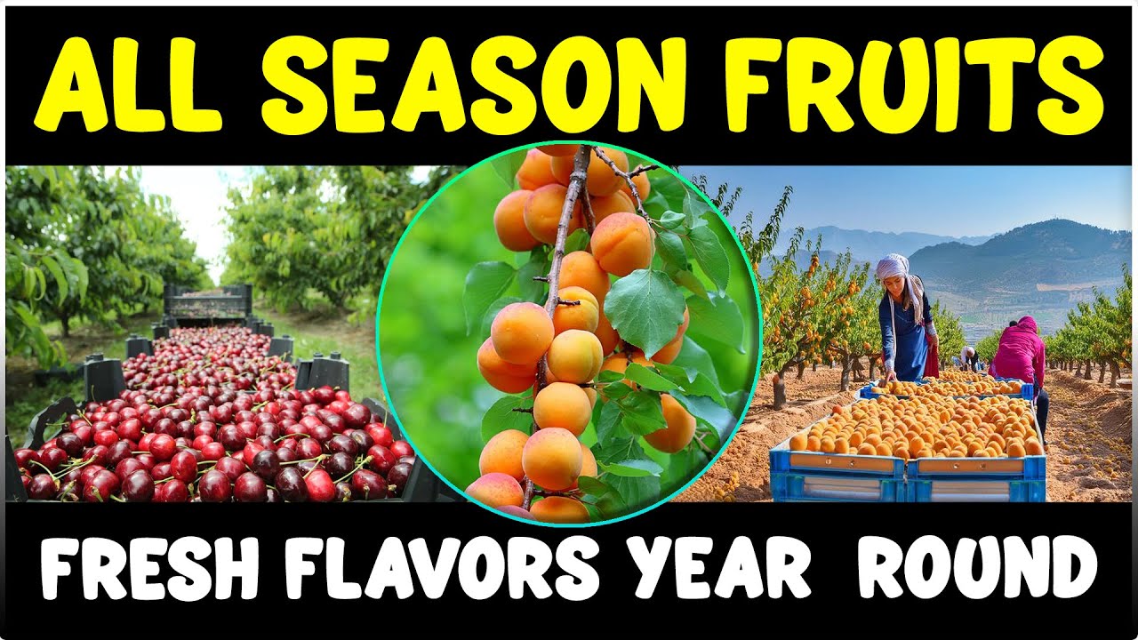 The Ultimate Guide to All-Season Fruits: Fresh Flavors Year-Round - YouTube