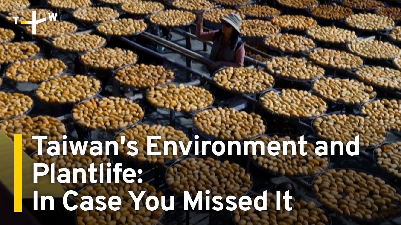 Taiwan's Environment and Plantlife: In Case You Missed It | TaiwanPlus ...