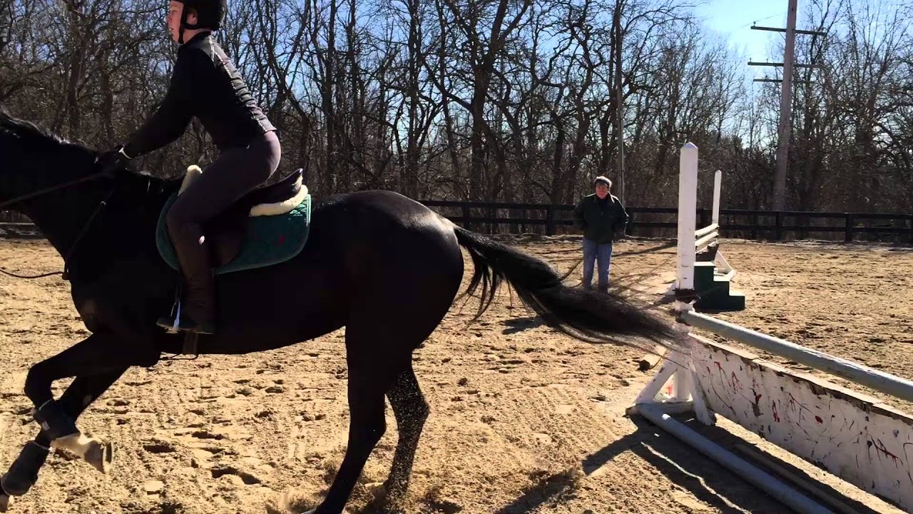 Hidden Lane Farm - Dino - YouTube