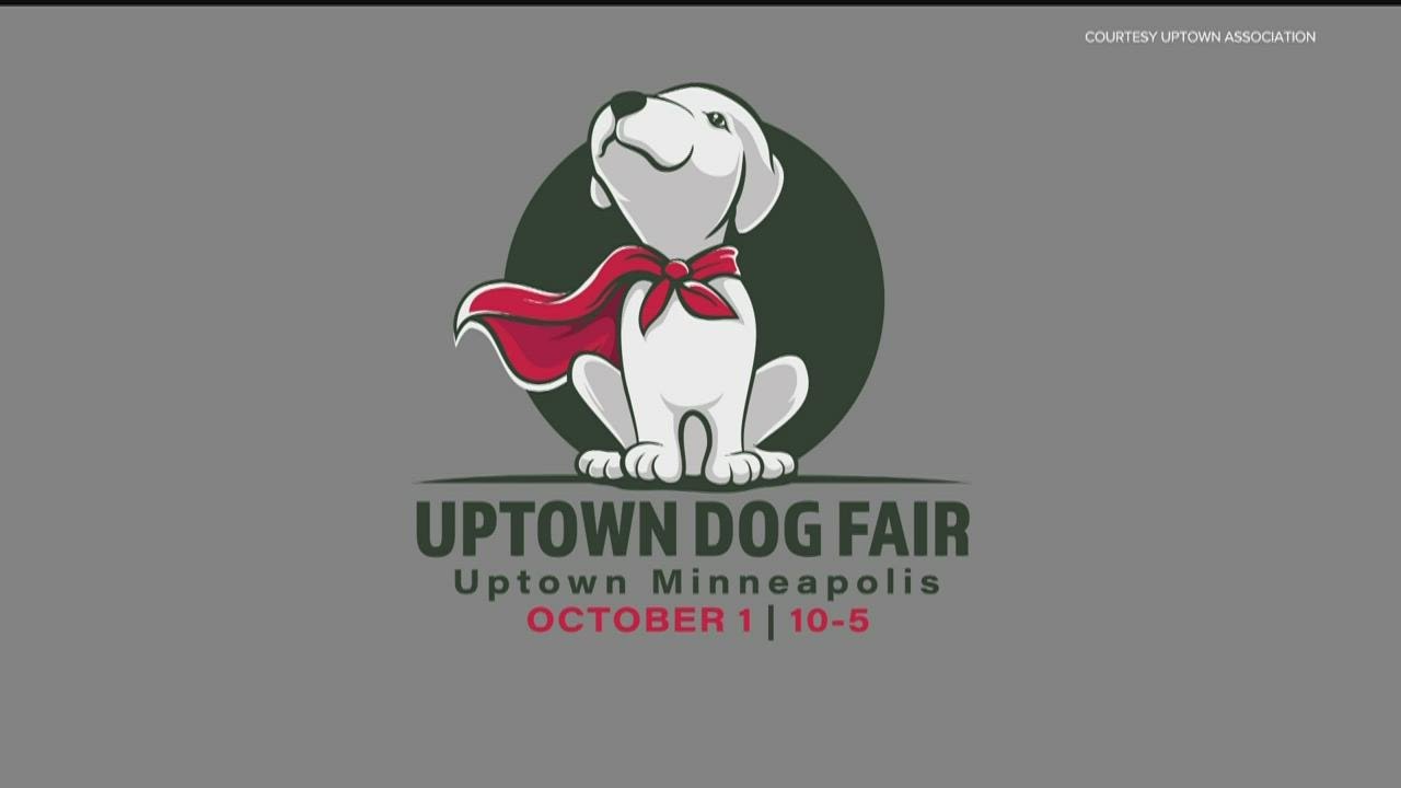All paws welcome at Uptown Dog Fair - YouTube