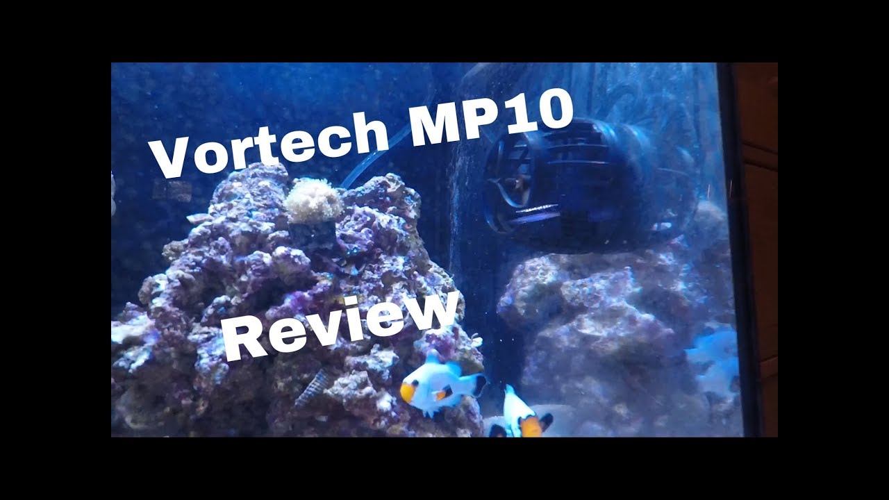 Review on the Ecotech Marine Vortech MP10! - YouTube