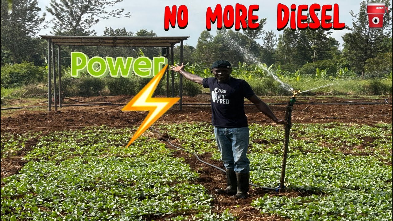 Farm Tour, 2024 plan and my new irrigation system (Solar powered farm ...