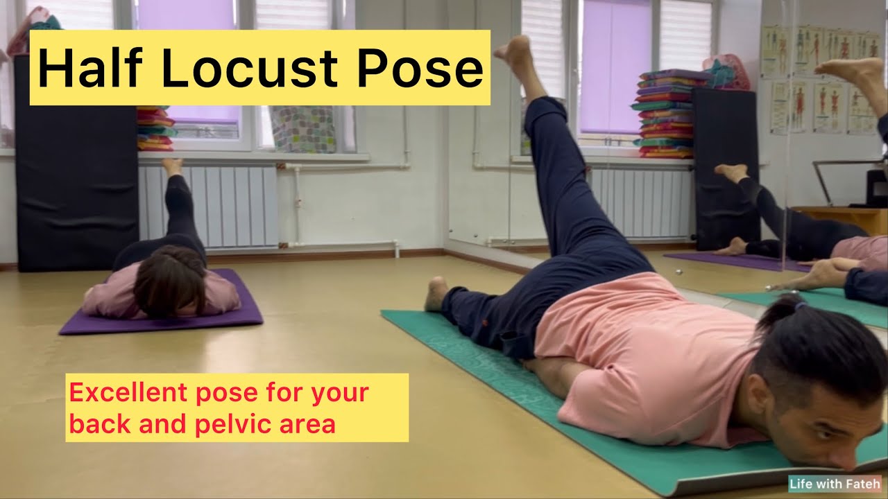 Half Locust Pose. Ardhshalabh Aasan #yoga #yogaforbeginners #yogatips ...