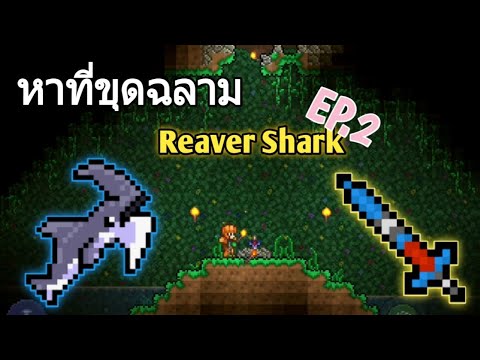 Terraria 1.3 EXPERT มือถือ | Ep.2 หาที่ขุดฉลาม Reaver Shark เเล้วดาบเทพ ...