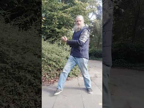 ha le goa ma she wo cu eh jong dui huai dan dian zhong ghji yuan she ...