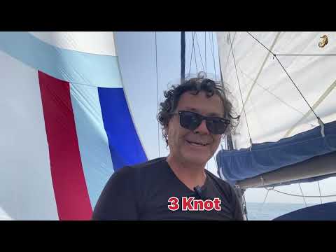 YELKENLİ TEKNEDE İLK DEFA BALON YELKEN UÇURDUK #sıfırdanyelkenciolmak #yelkenli_tekne #sailing