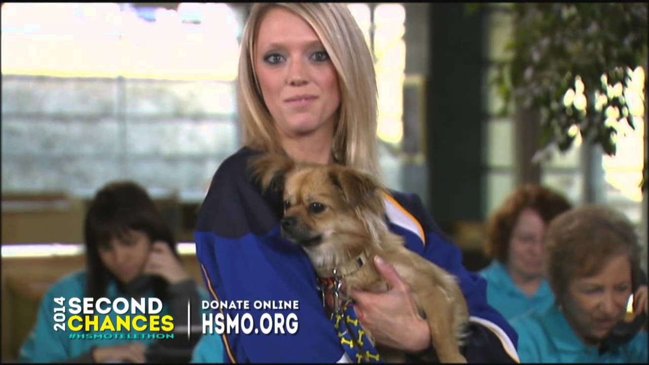 St. Louis Blues Blue Crew - Pet Parade - YouTube