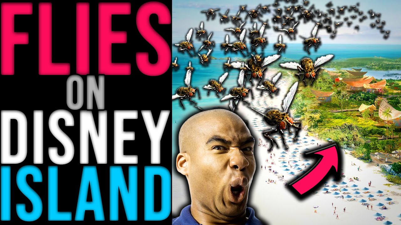FLIES INVADE Disney's Island | Lighthouse Point On Lookout Cay's ...