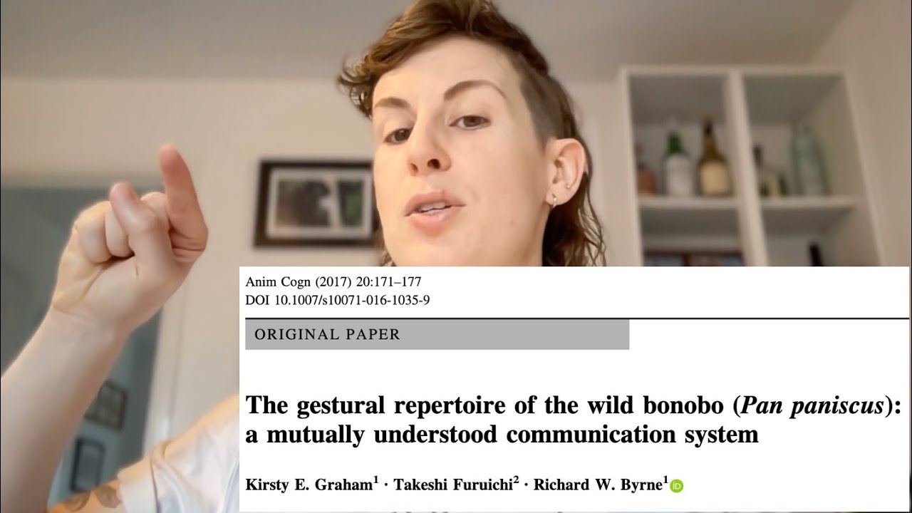 The gestural repertoire of the wild bonobo: a mutually understood ...