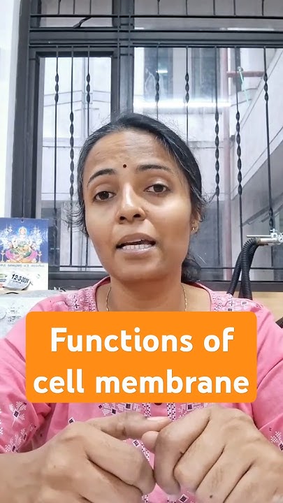 Cell membrane functions - YouTube