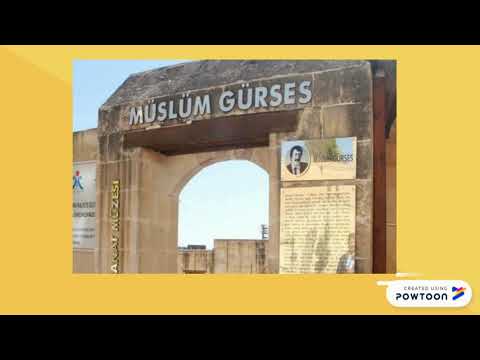 Pawtoon - Müze Çeşitleri