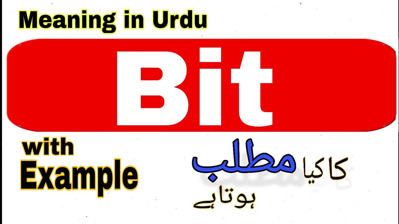 Bit meaning in Urdu/Hindi | Bit ka matlab Kya hota hai |What is the ...
