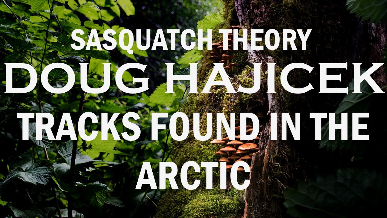 DOUG HAJICEK DISCUSSES HIS JOURNEY IN THE (BIGFOOT) WORLD – Bigfoot ...