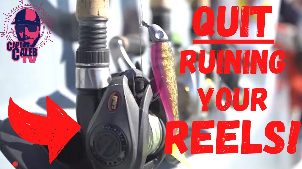 How to Maintain Your Reels! What the Pros Recommend You Do When You Get ...