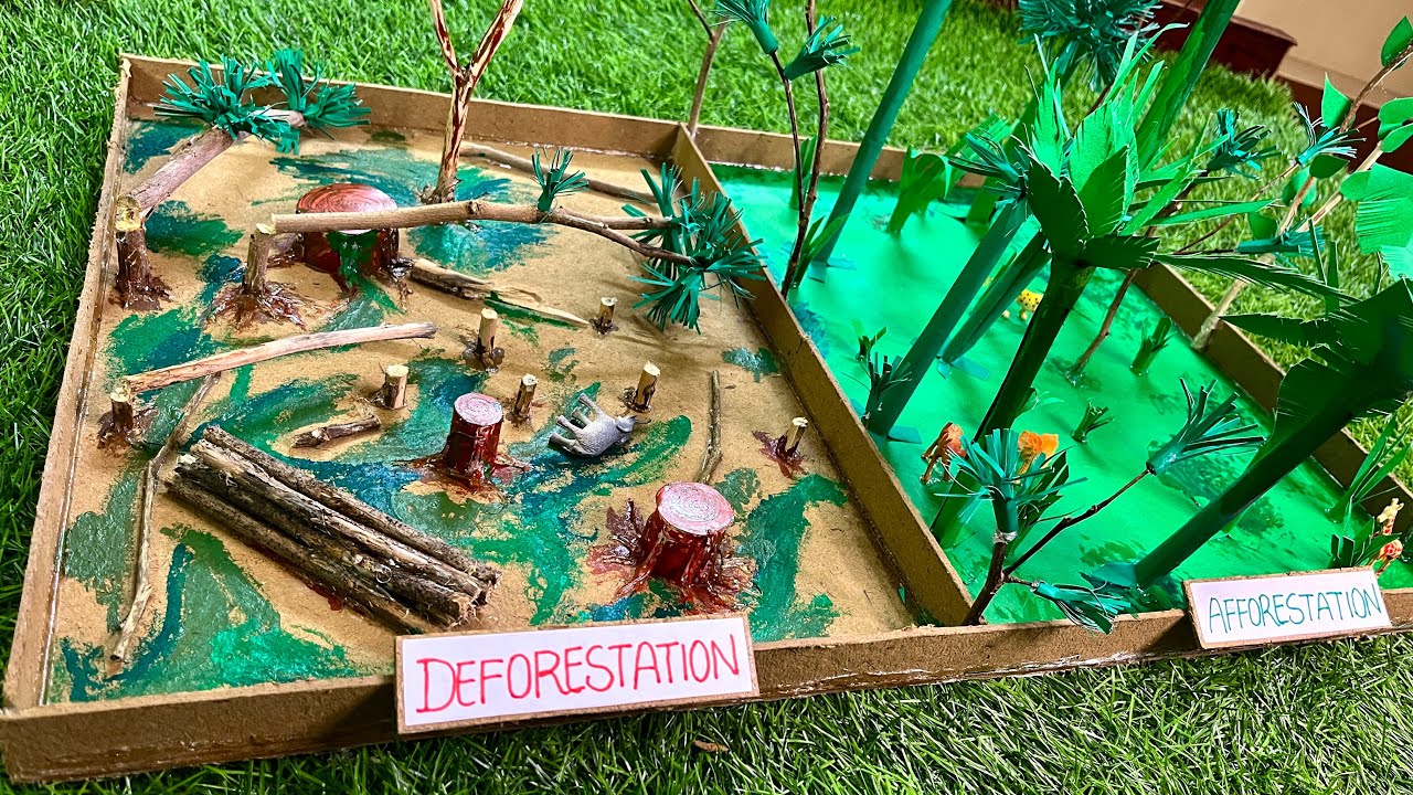 Deforestation and afforestation model | school project | save tree ...