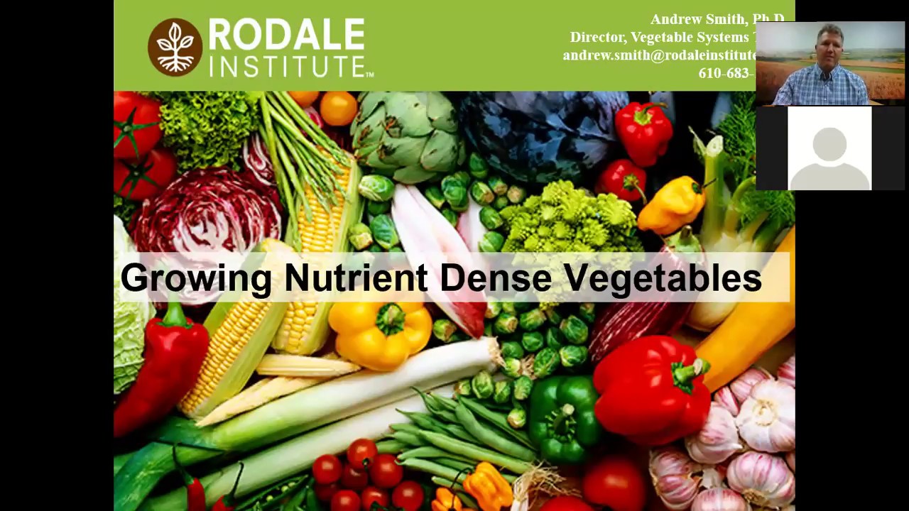 Growing Nutrient Dense Vegetables - YouTube
