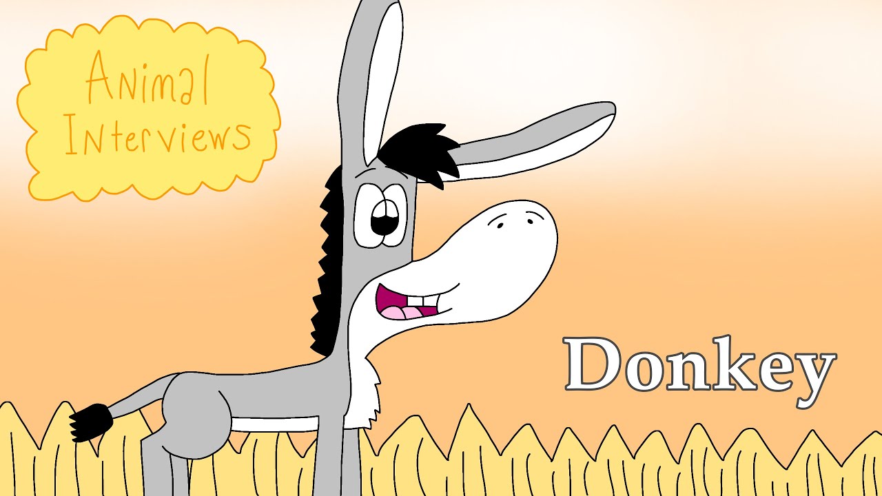 Animal Interviews: Donkey - YouTube