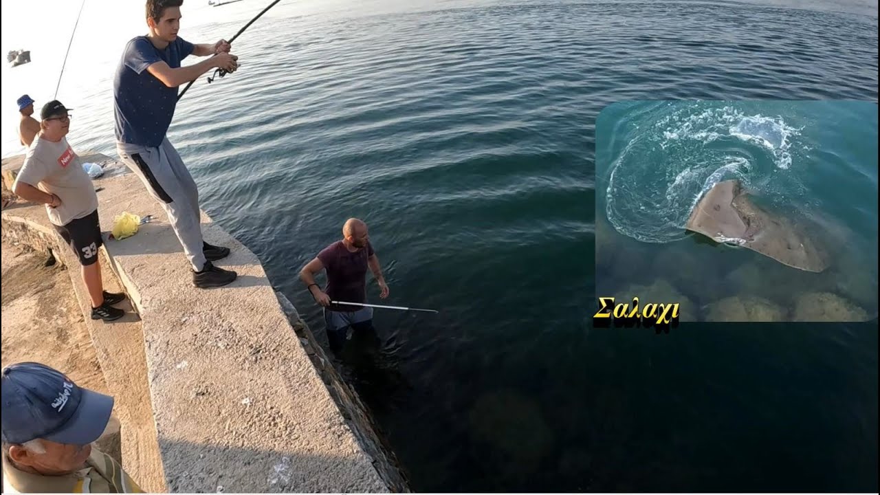Στο κορδονι των μεγαλων εκπληξεων με τα πολυ μεγαλα σαλαχια - YouTube