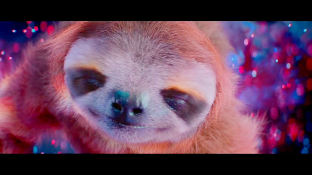 Shooting Sloth (Shooting Star meme sloth edition) - YouTube