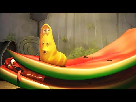 LARVA - WATERMELON | 2017 Cartoon Movie | Videos For Kids | Kids TV Shows Full Episodes